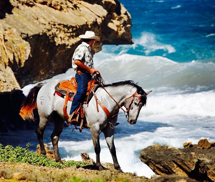 Private Paniolo Experience | CJM Country Stables